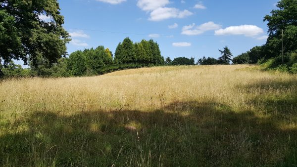 Hideaway Edge Glamping