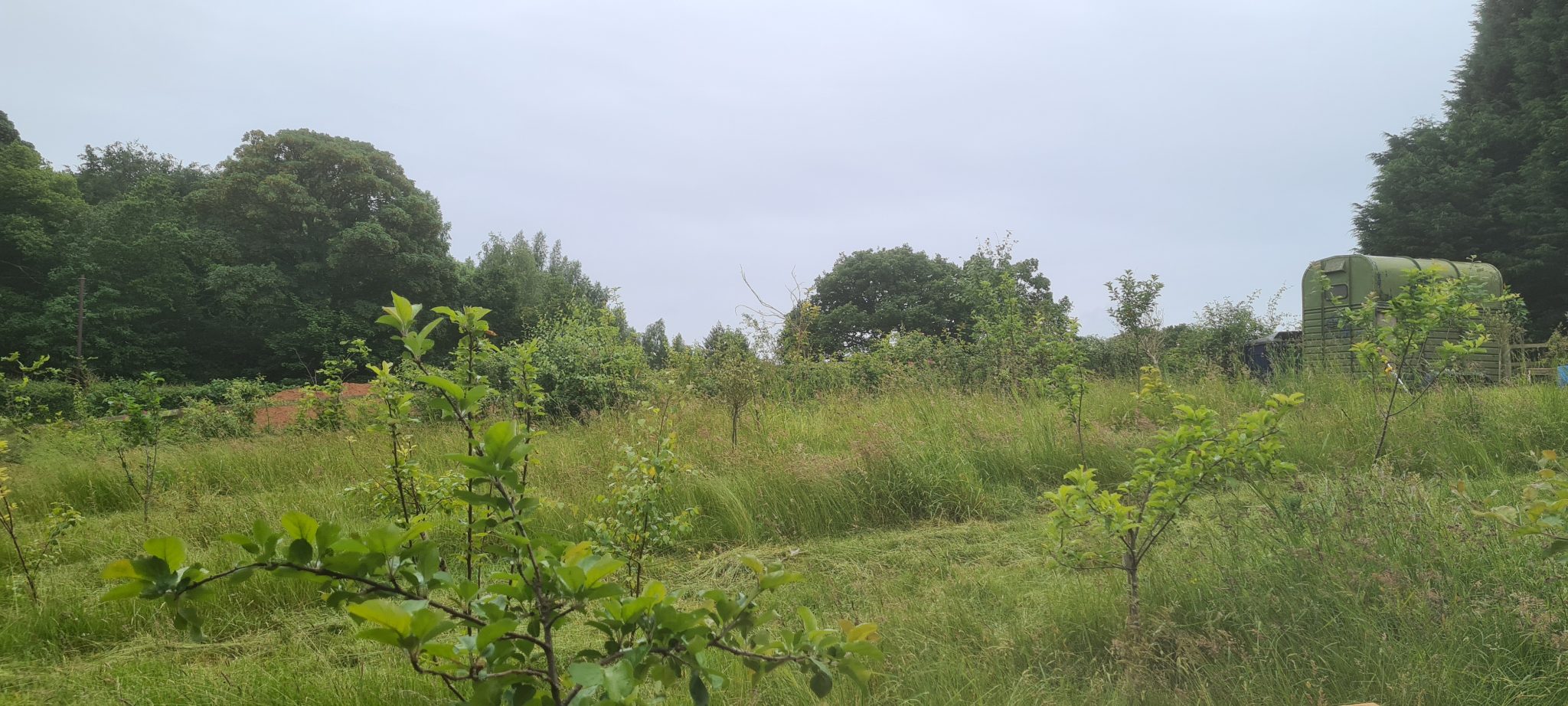 Accommodation - Hideaway Edge Glamping